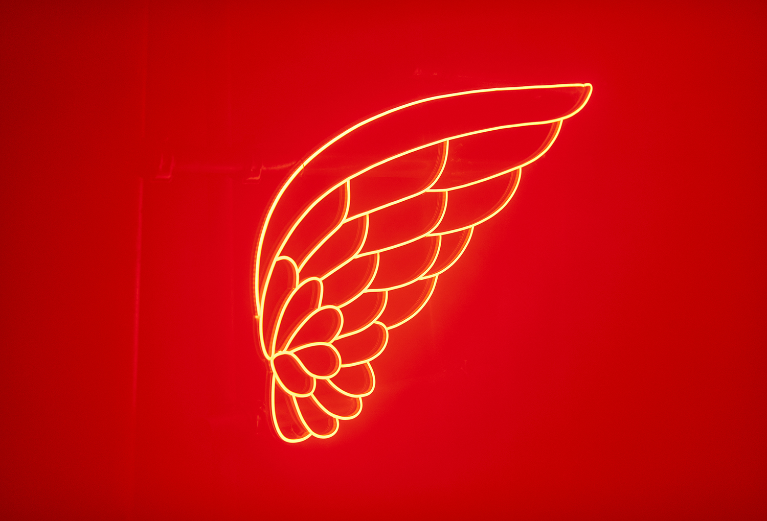 RED WING RED WING ICONS 2019 | WORKS 2019 | VISIONS AND PARADOX ...